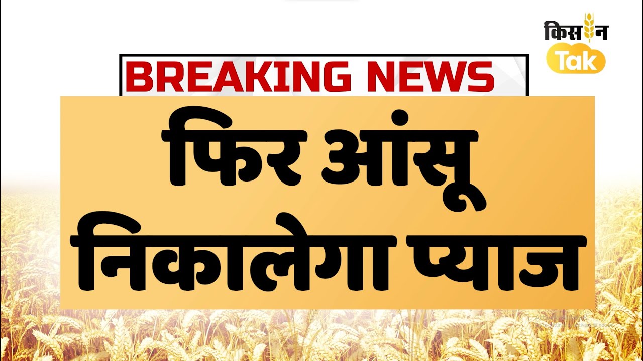 #breakingnews | Onion Production: फिर गहरा सकता है प्याज संकट, 37 लाख ...