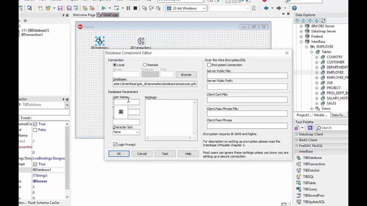 Using RAD Studio and InterBase Express to Create an Application Without Code - YouTube