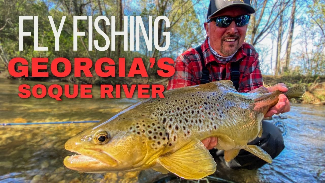MONSTER TROUT on Georgia's Soque River - YouTube