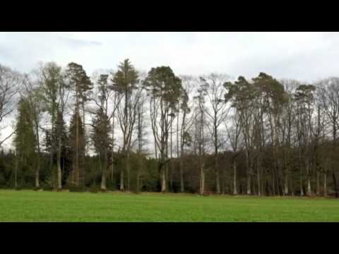 Loiter Test with Ardupilot Mega 2 | GPS Hold Hovering Test