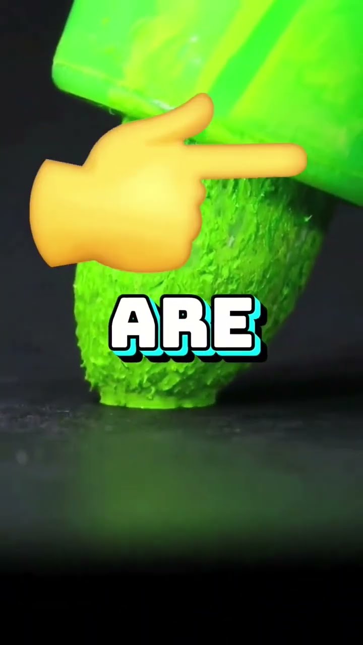 Funny Nutshell Nutshellgroup Memes Animation Comedy Animatiomeme