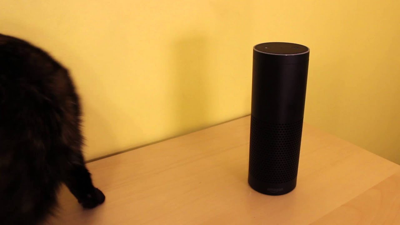 Amazon Alexa: This Day in History skill - YouTube
