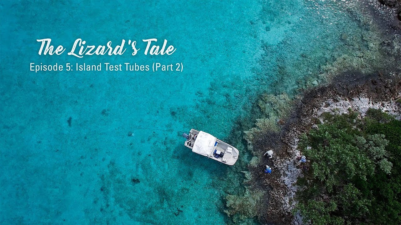 The Lizard's Tale - Episode 6: Island Test Tubes (Part 2) - YouTube