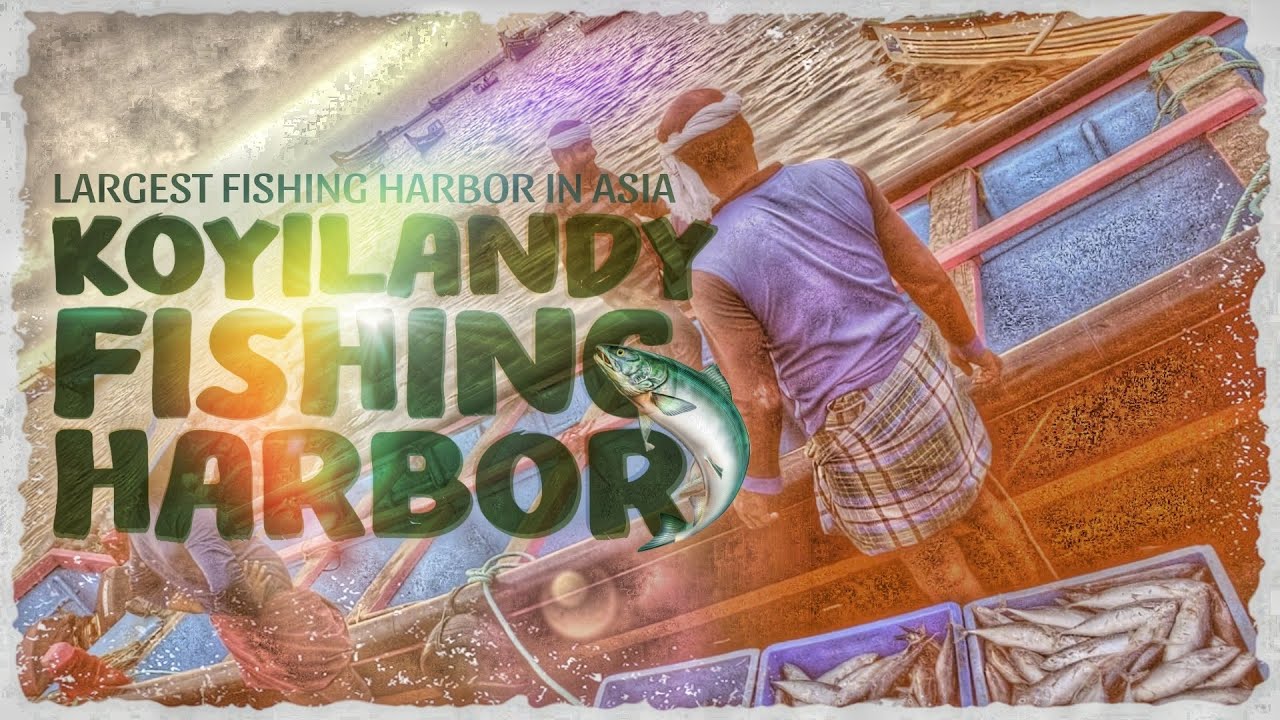 Koyilandy Harbor | Asia's largest fishing Harbor | Sanoop thanu ...