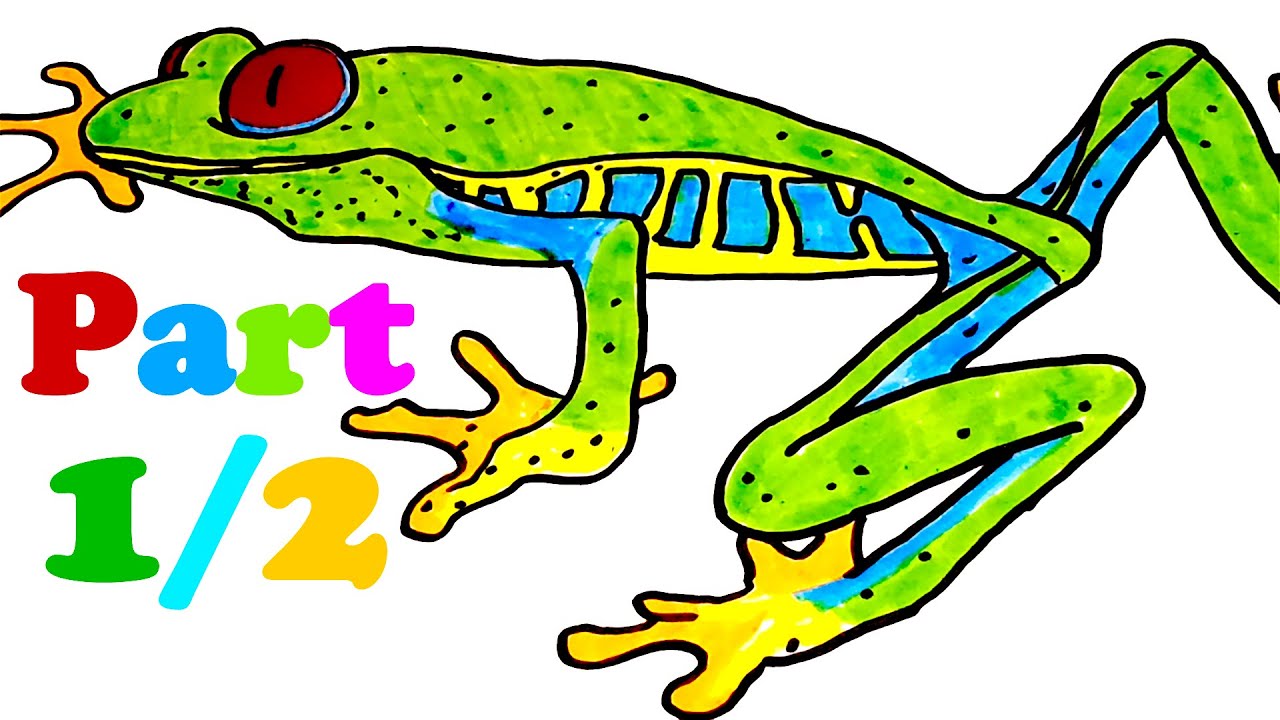 How To Draw A FROG Step By Step For Beginners Easy Realistic Frog How To Draw A FROG Step By Step For Beginners Easy Realistic Frog