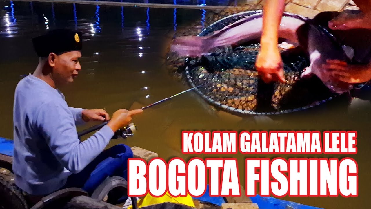 BOGOTA FISHING, Kolam Galatama Lele Terbesar di Bogor - YouTube