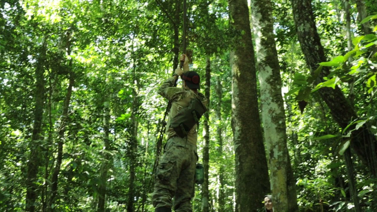 Mantas skrenda tarzanke lijana džiunglėse Peru - YouTube