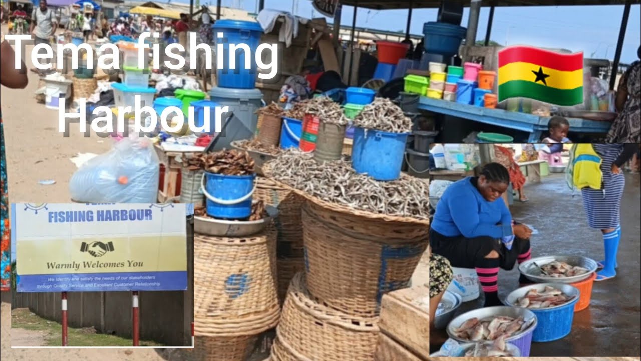 Touring Tema Fishing Harbour Ghana West Africa #Ghana vlog 🇬🇭 - YouTube