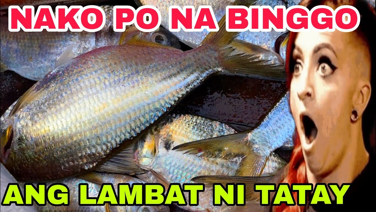 MANILA BAY MYC UPDATE, NAKO PO! NA BINGGO ANG LAMBAT NI TATAY! Miz July ...