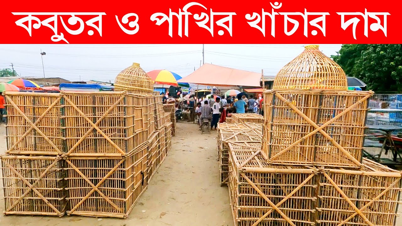 কবুতর ও পাখির খাঁচার দাম | Pakhir Khachar Dam 2023 | bird cage | pakhir ...