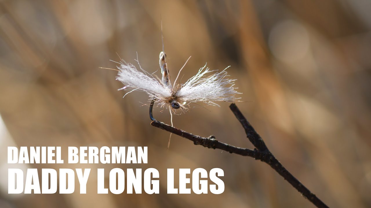 Daddy long legs by Daniel Bergman - YouTube