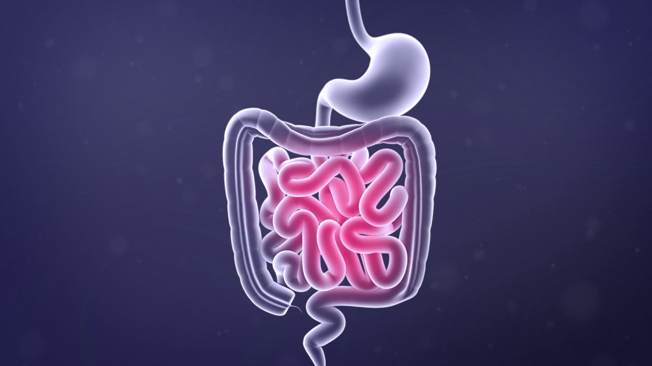 Science Animation - Fatty Acids in the SN2 Position - YouTube