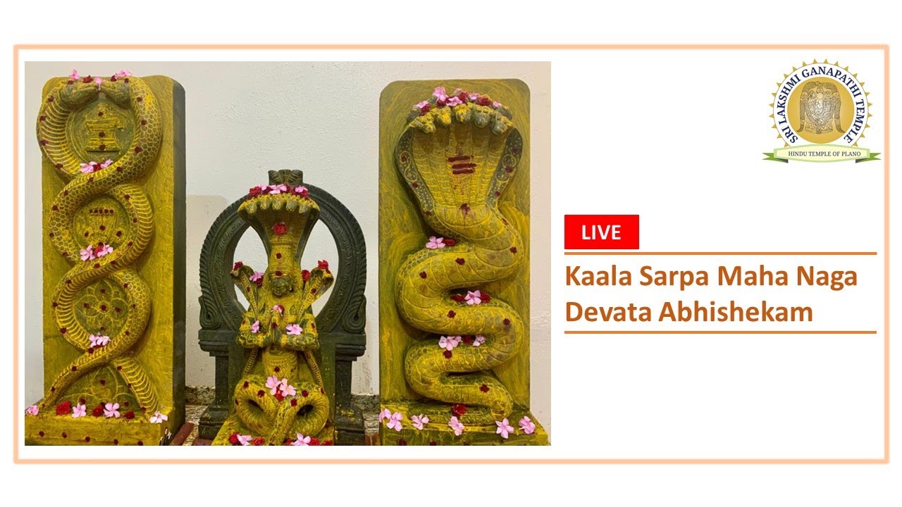 LIVE | Kaala Sarpa Maha Naga Devata Abhishekam - YouTube