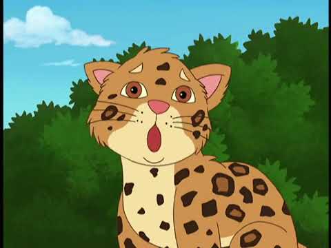 Every time Baby Jaguar cried on \