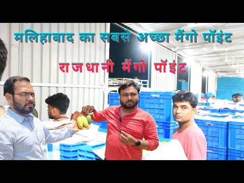 Malihabad ka sabse acha or sabse bada mango point.