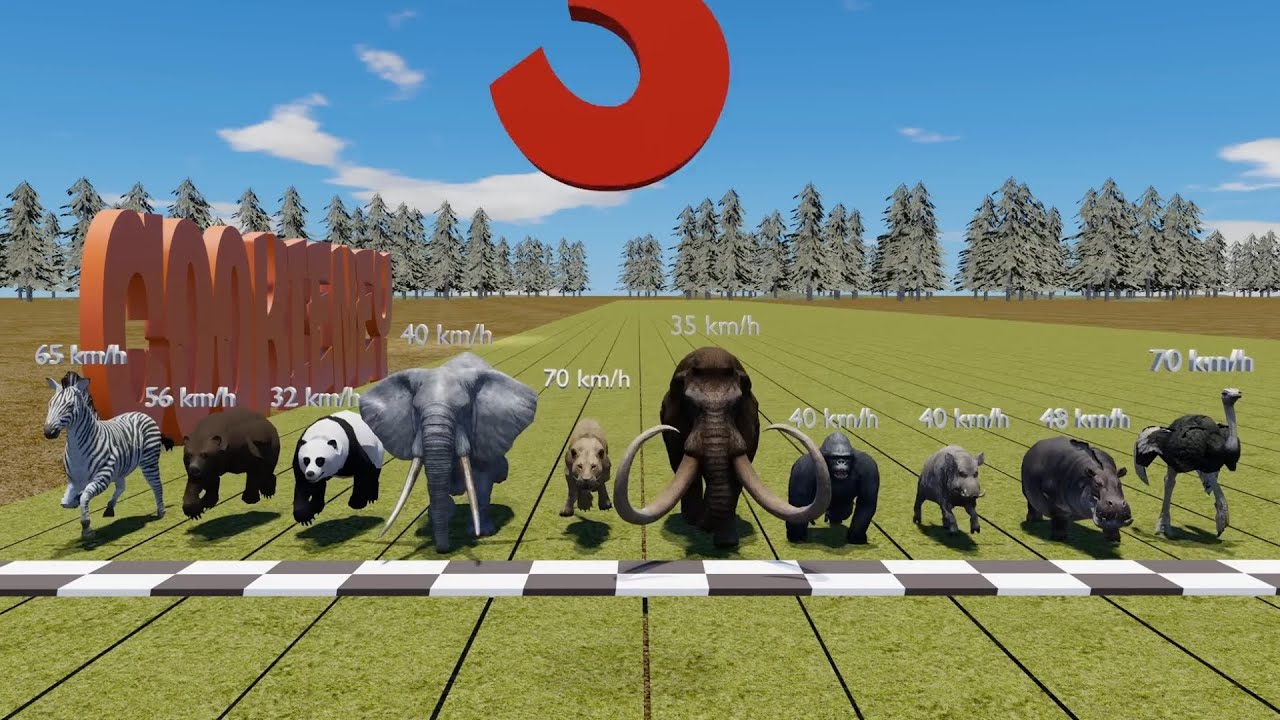 @Cartoon_video_07RP 30 animal racing video/Today we are racing 30 wild ...