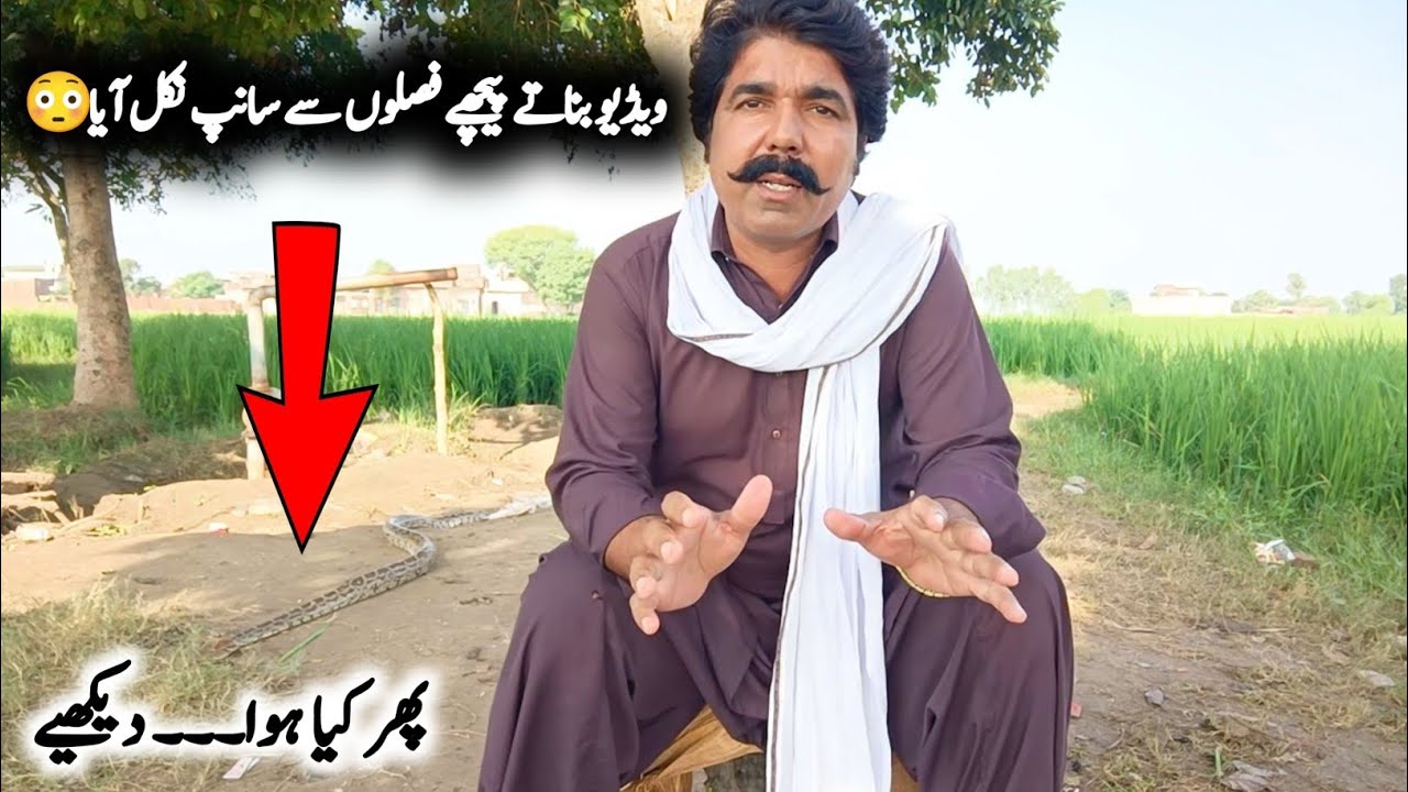 Sultan Rahi Ki Video Shoot Kartey Peechey Faslon Se SAANP Nikal Aya 😳 ...