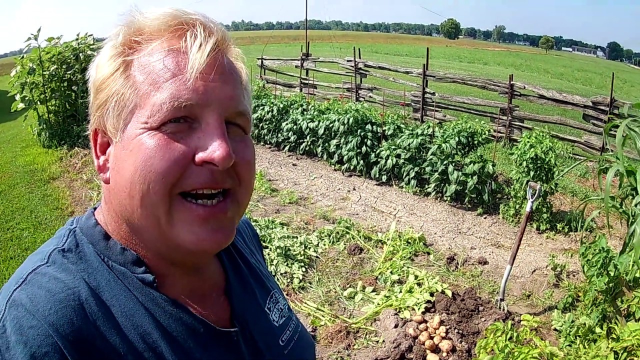 Rippy Diggin' HOT Taters - YouTube