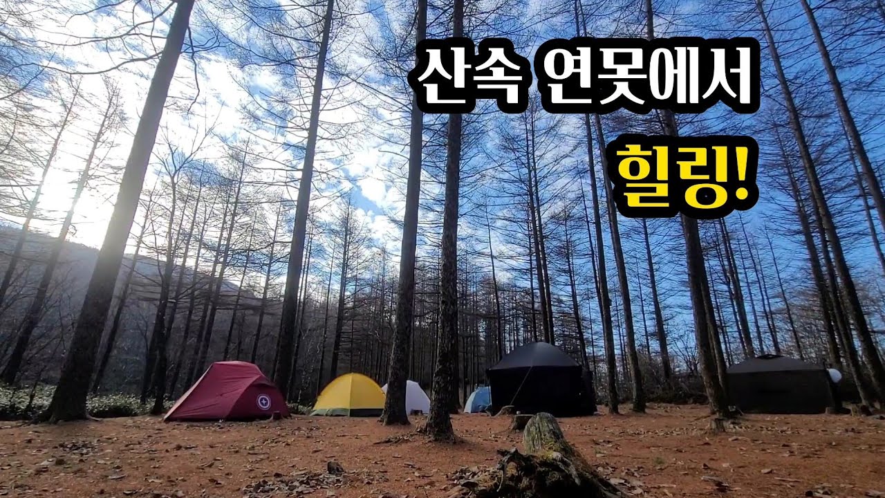 오랜만에 육지로 힐링하러 갑니다 뜻밖에 날로 먹은 백패킹산중 연못도롱이연못 백패킹 백패킹 반려견 잭러셀테리어 여자