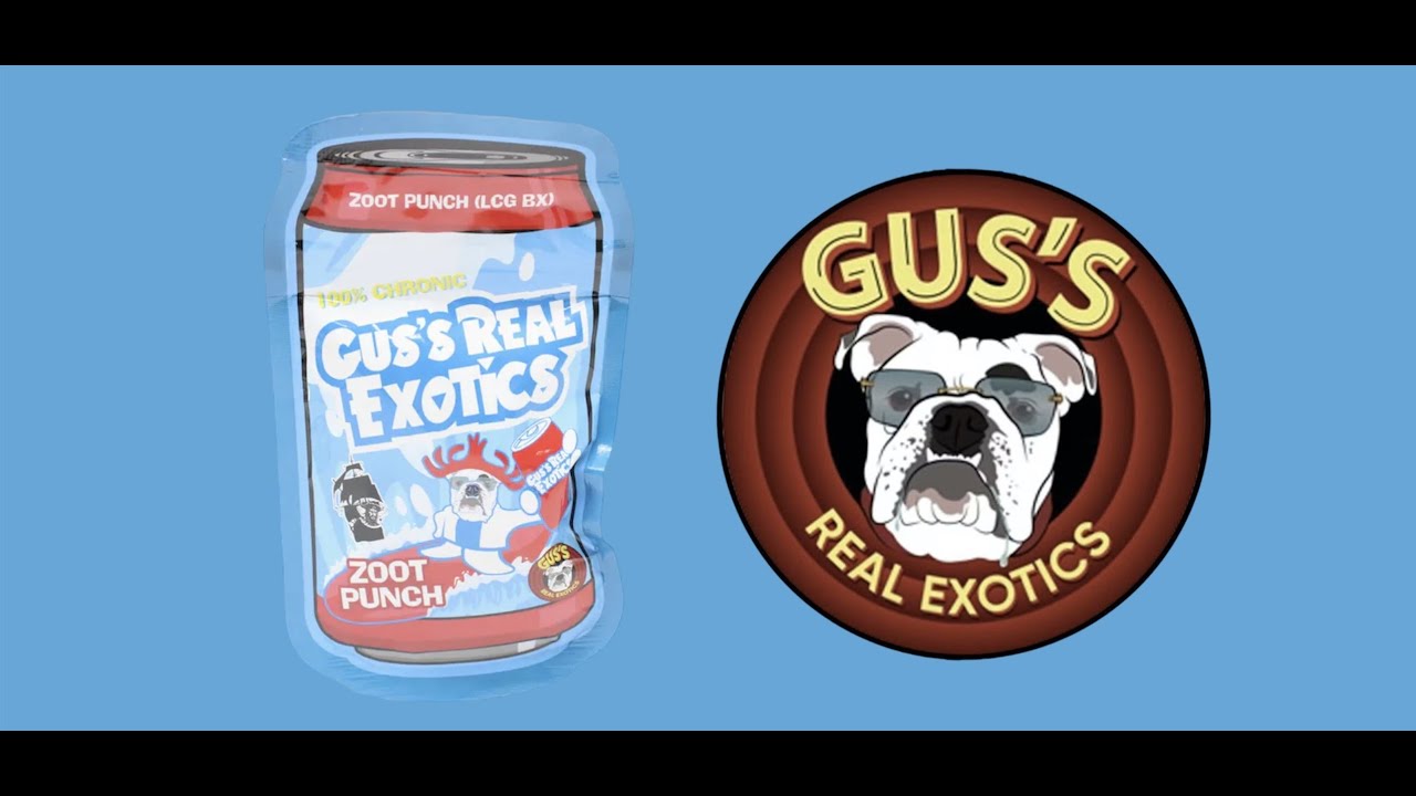 ZOOT PUNCH from GUS'S REAL EXOTICS STRAIN REVIEW - YouTube