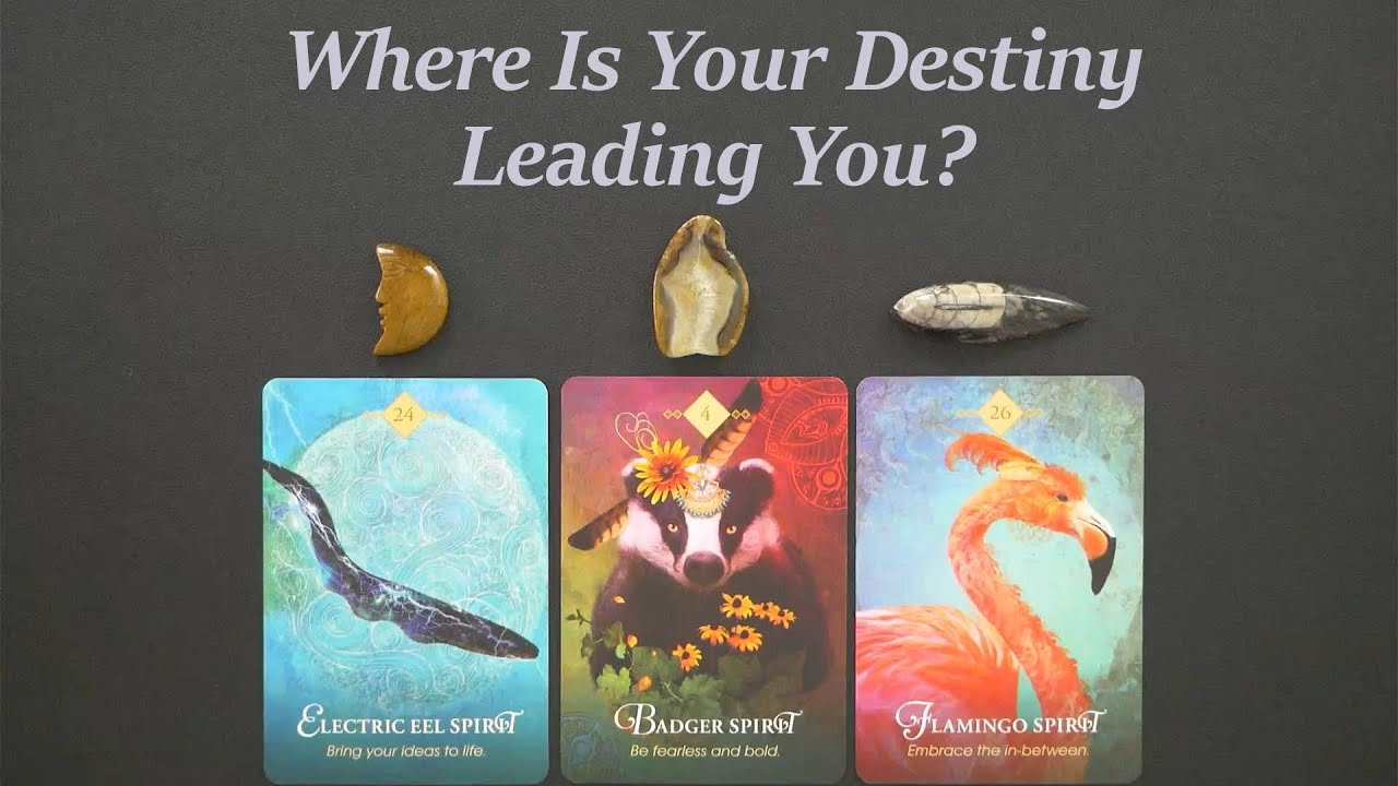Where Is Your Destiny Leading You? ~ Timeless pick a card tarot reading ...