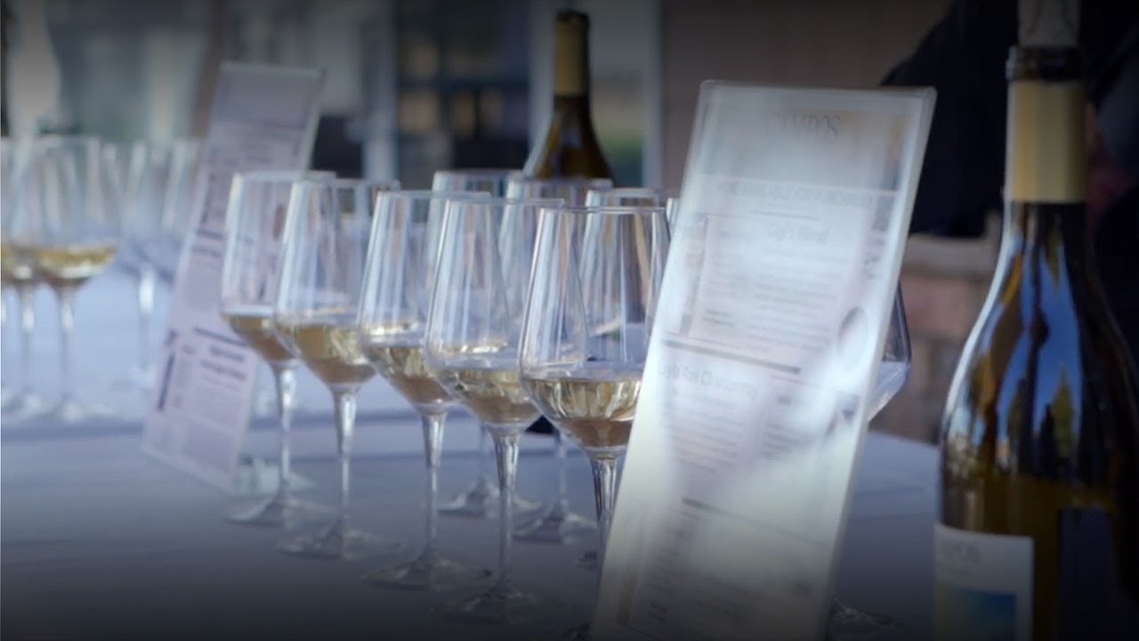 Joshua's Gift Celebrity Dinner & Wine Tasting Gala 2022 - YouTube