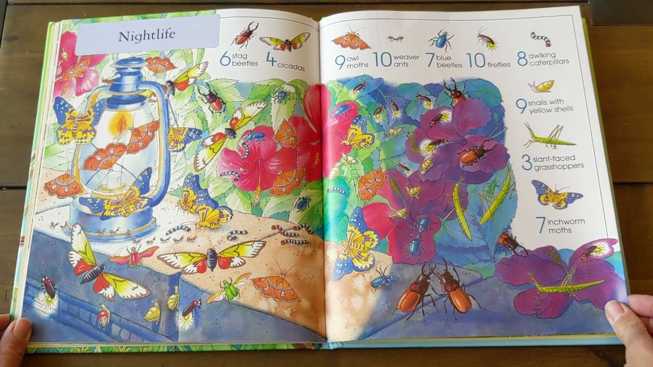 Usborne | 1001 Bugs to Spot - YouTube