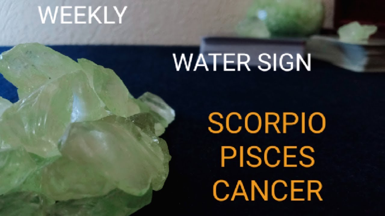Water Sign - Scorpio, Pisces, Cancer : The epitome of growth and ...