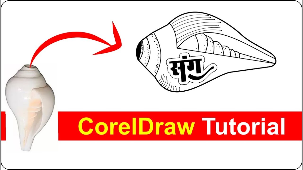 Sankh clipart design in CorelDraw | coreldraw tutorial in hindi ...