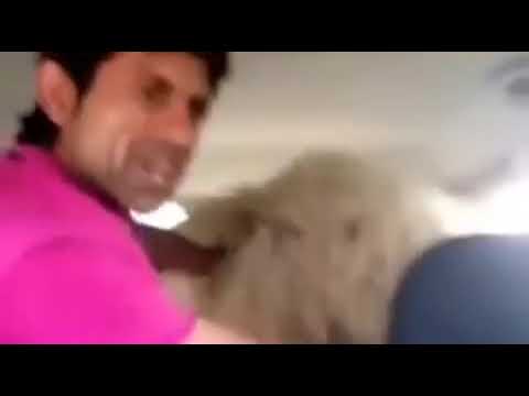 Bi koyunu tutamadı 😁 Dur oğlum dur 🤣