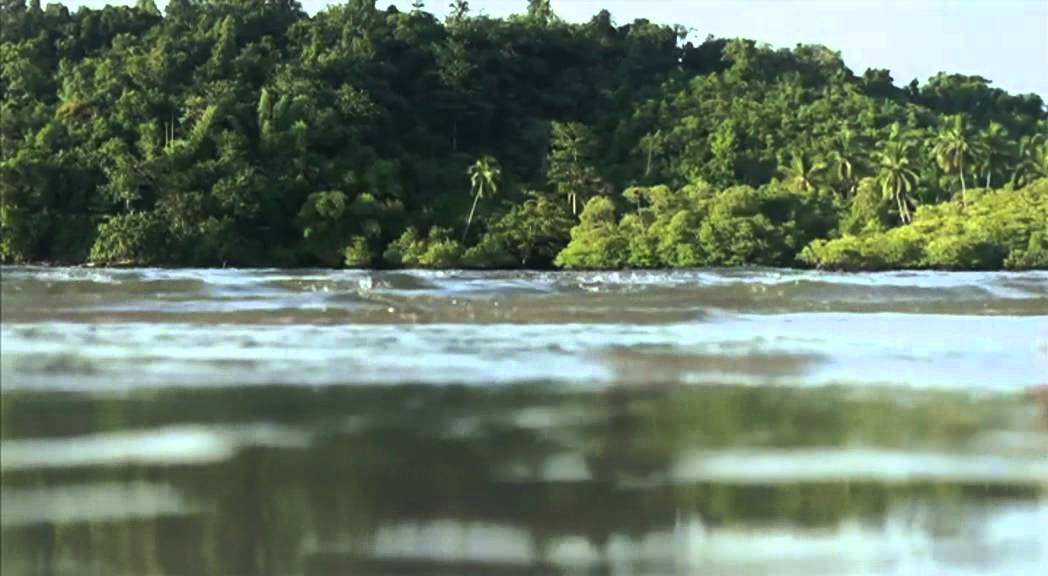 Man-O-War Unmanned Ocean Vessel - YouTube