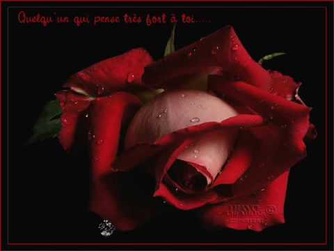 arzu melek vidyo.wmv