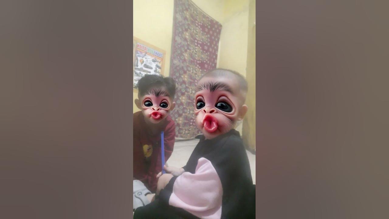 maapin mama yah 🤣🤣🤣 - YouTube