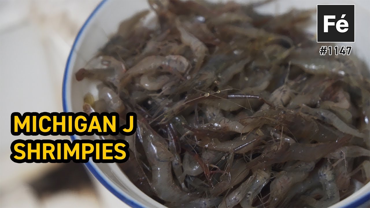 Jumping LIVE SHRIMP SALAD | Super Rare Ilocano Food | Piddig, Ilocos ...
