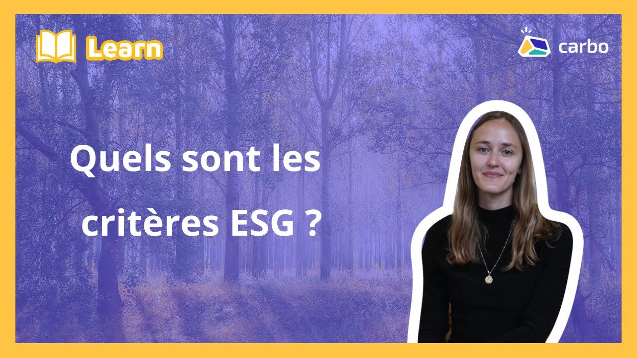 [LEARN] - 1 minute pour comprendre : les critères ESG - YouTube