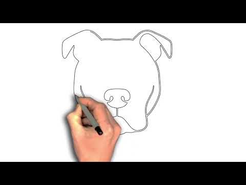 “How to Draw a Pit Bull Terrier Head: Step-by-Step Guide”
