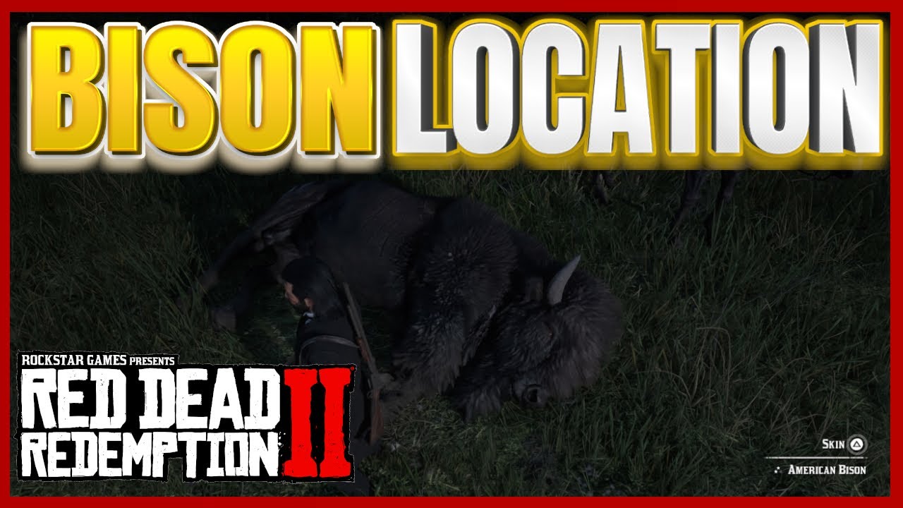 BISON LOCATION - RED DEAD REDEMPTION 2 - ONLINE - YouTube