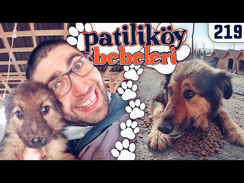 Veeee Beklenen Video PATİLİKÖY BEBELERİ 2.Ziyaret 👉👉👉 Sonra Nereye Gidek? @DoBiDa 219