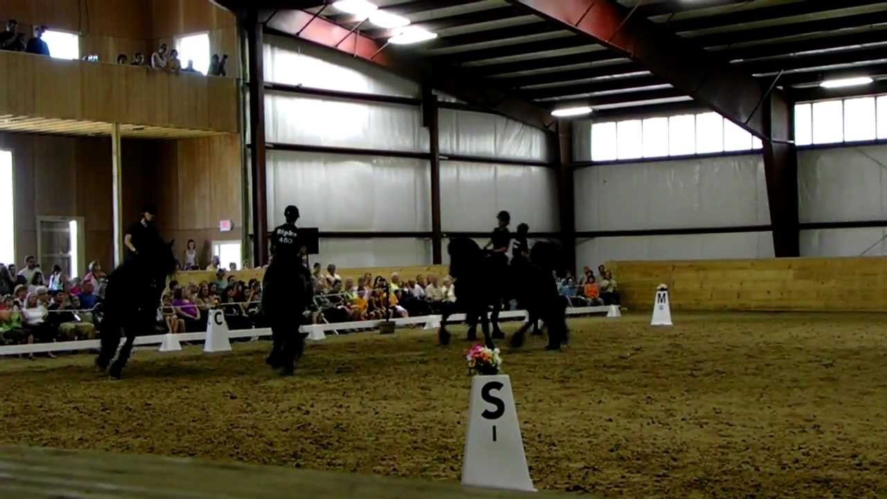 2011 Concord Ridge Equestrian Center Open House Friesian Stallion ...