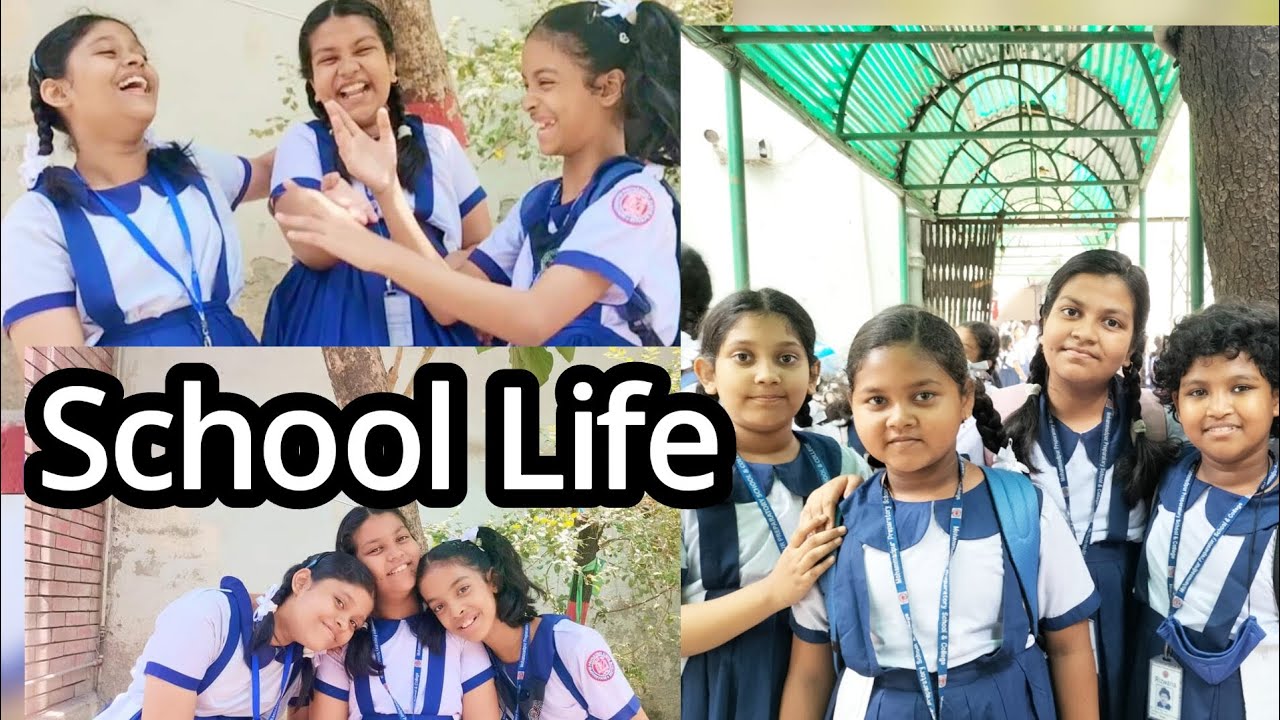 School Life | স্কুল লাইফ | Mohammadpur Preparatory High School and ...