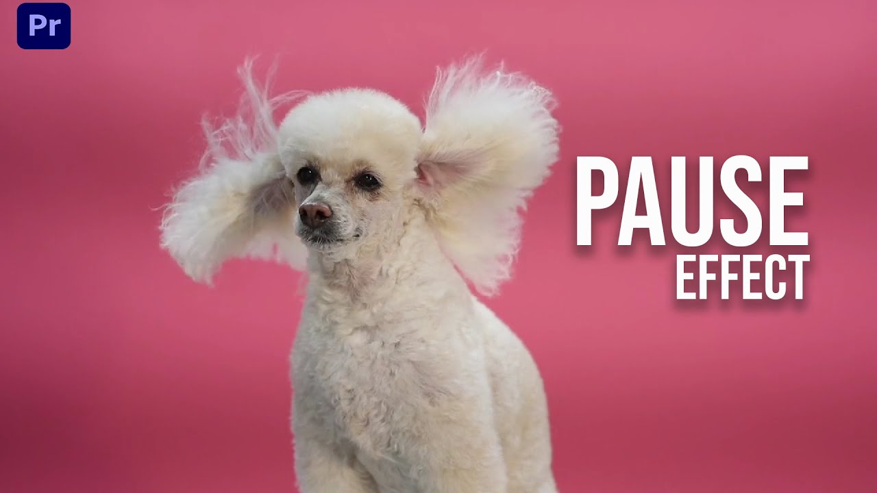Pause Effect Tutorial - Adobe premiere pro - YouTube