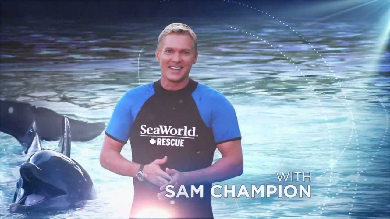 Sea Rescue - YouTube