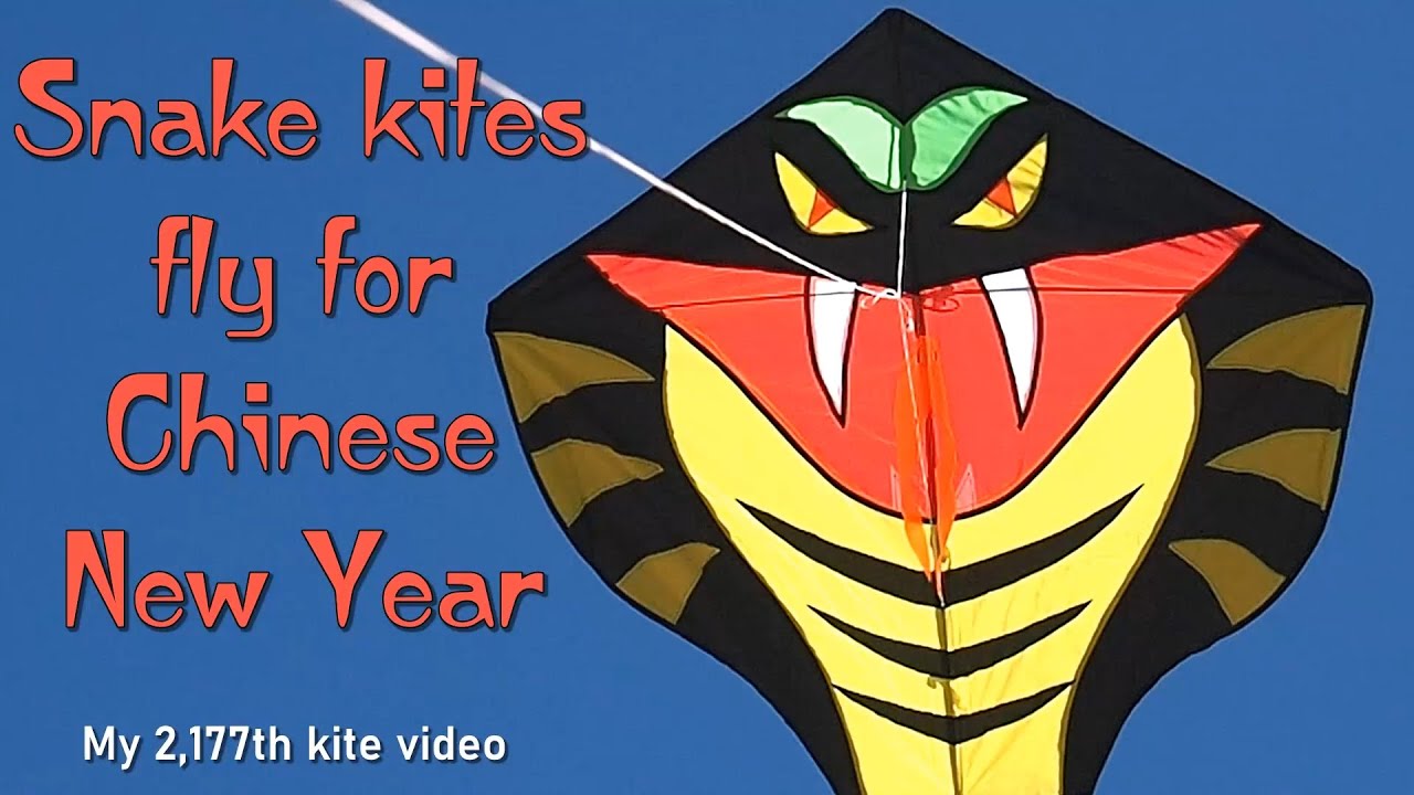 Snake kites fly for Chinese New Year - YouTube