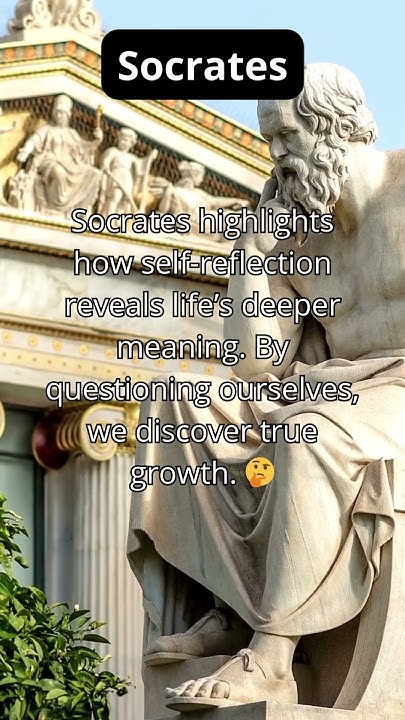 Socrates on Self-Reflection #socrates #philosophy #philosophie # ...