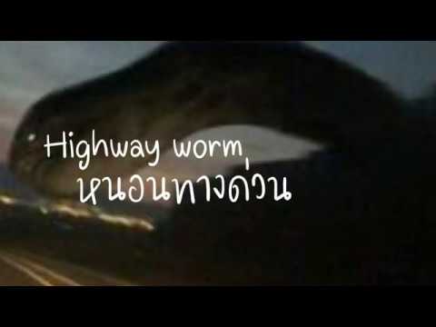 Highway wormหนอนดำ - YouTube