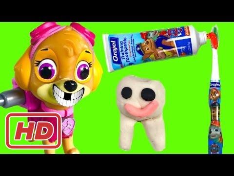 PLUS Paw Patrol Skye Loses a Tooth! Dentist Toy Surprises - Stop Motion ...