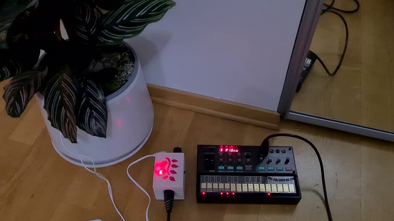Plant to MIDI biodata sonification device to Korg Volca FM - YouTube
