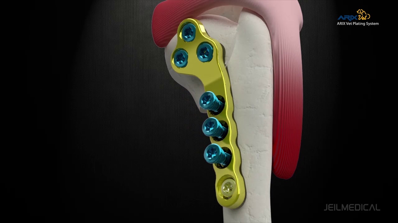 [ARIX Vet] TPLO Surgical Guide Animation - YouTube