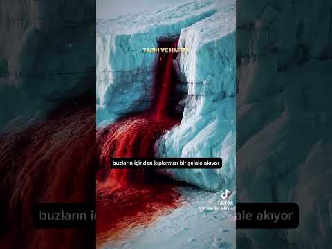 Hasbin Allah ve negmel vekil