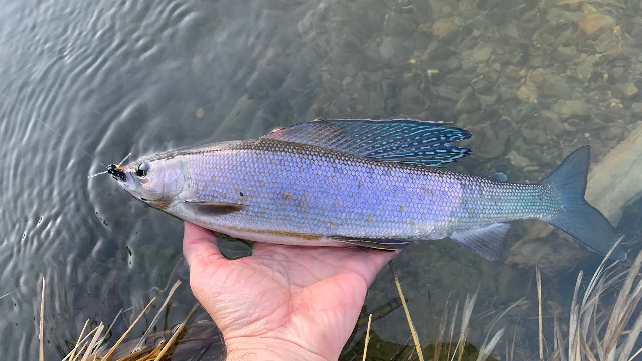 Fishing In The Yukon EPISODE 3 - YouTube